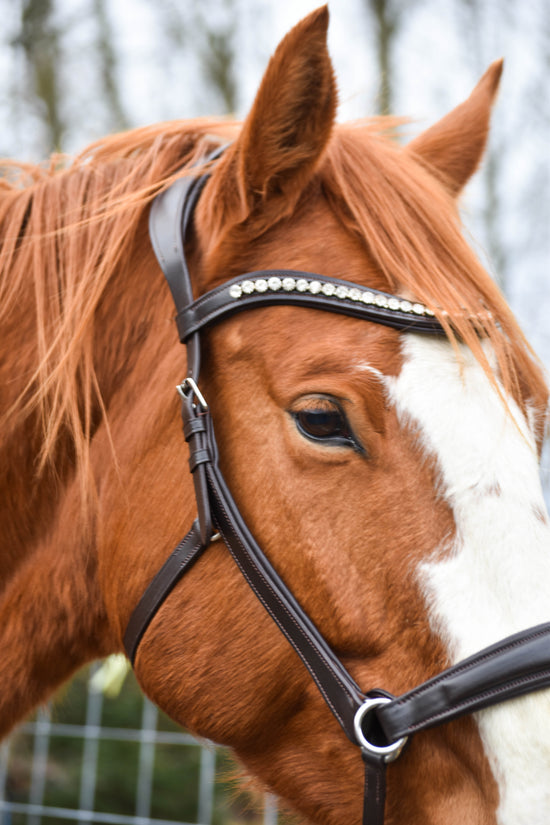 “Juniper” Side Pull Bitless Bridle – Milestone Equestrian